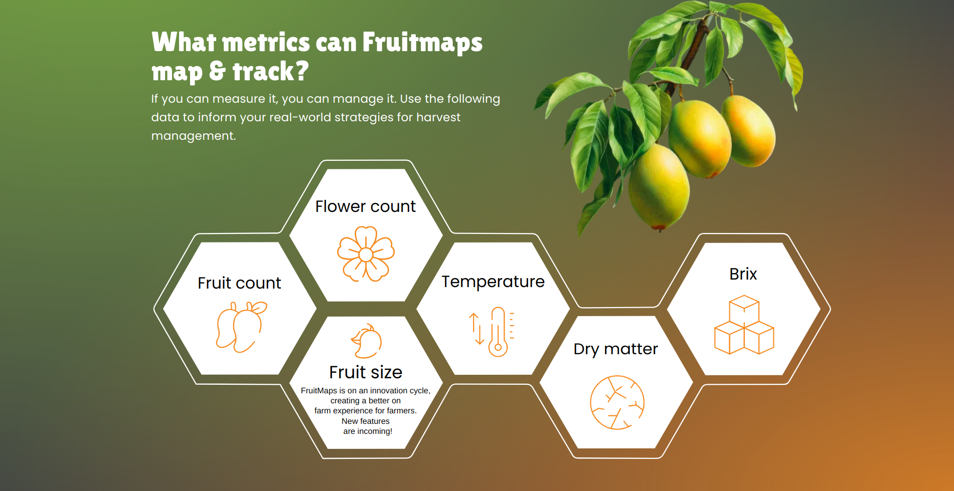fruitmaps